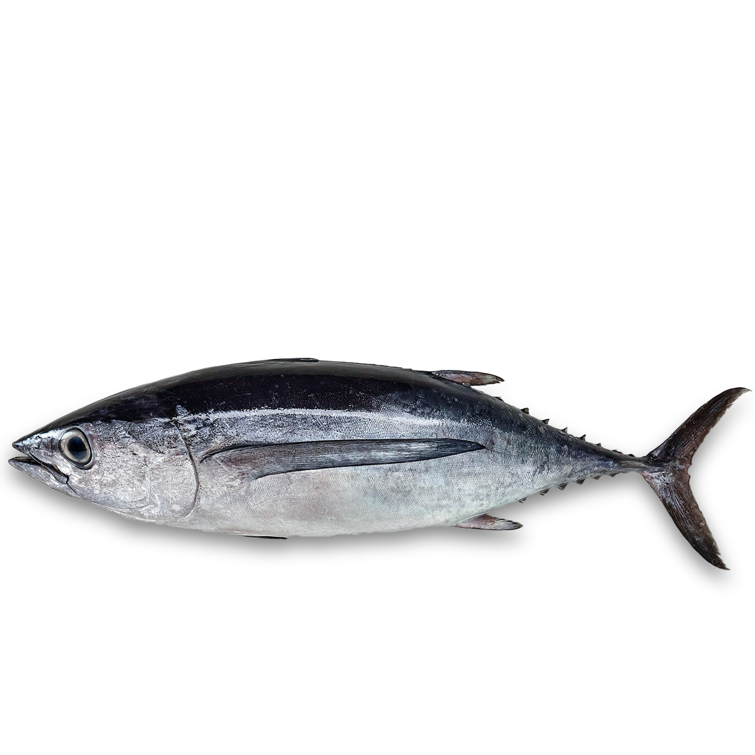 Milonja - Pescado a domicilio